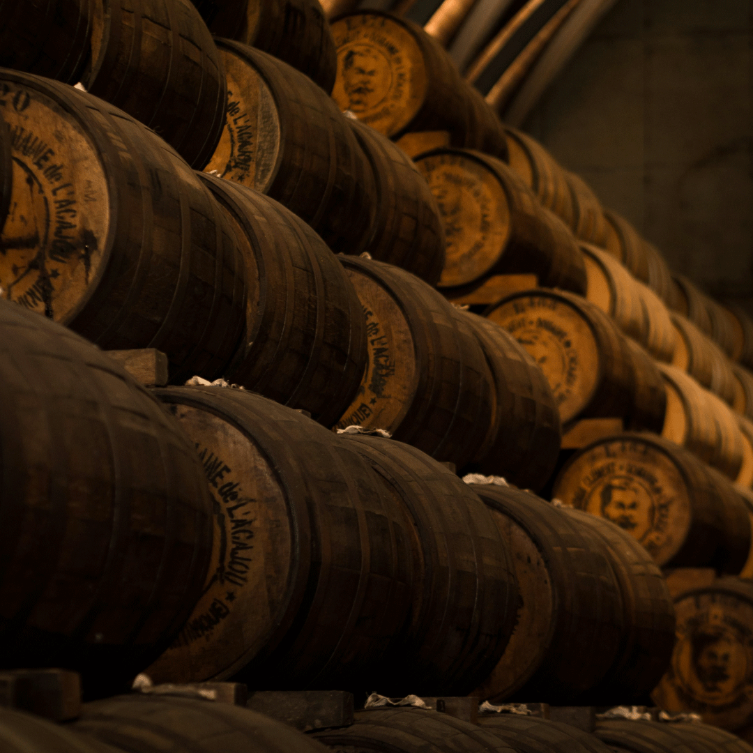 Tipologie di Rum: Guida Completa su Rum Agricolo, Tradizionale e ...